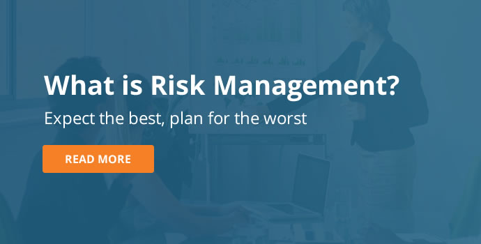 What is Risk Management in Business?